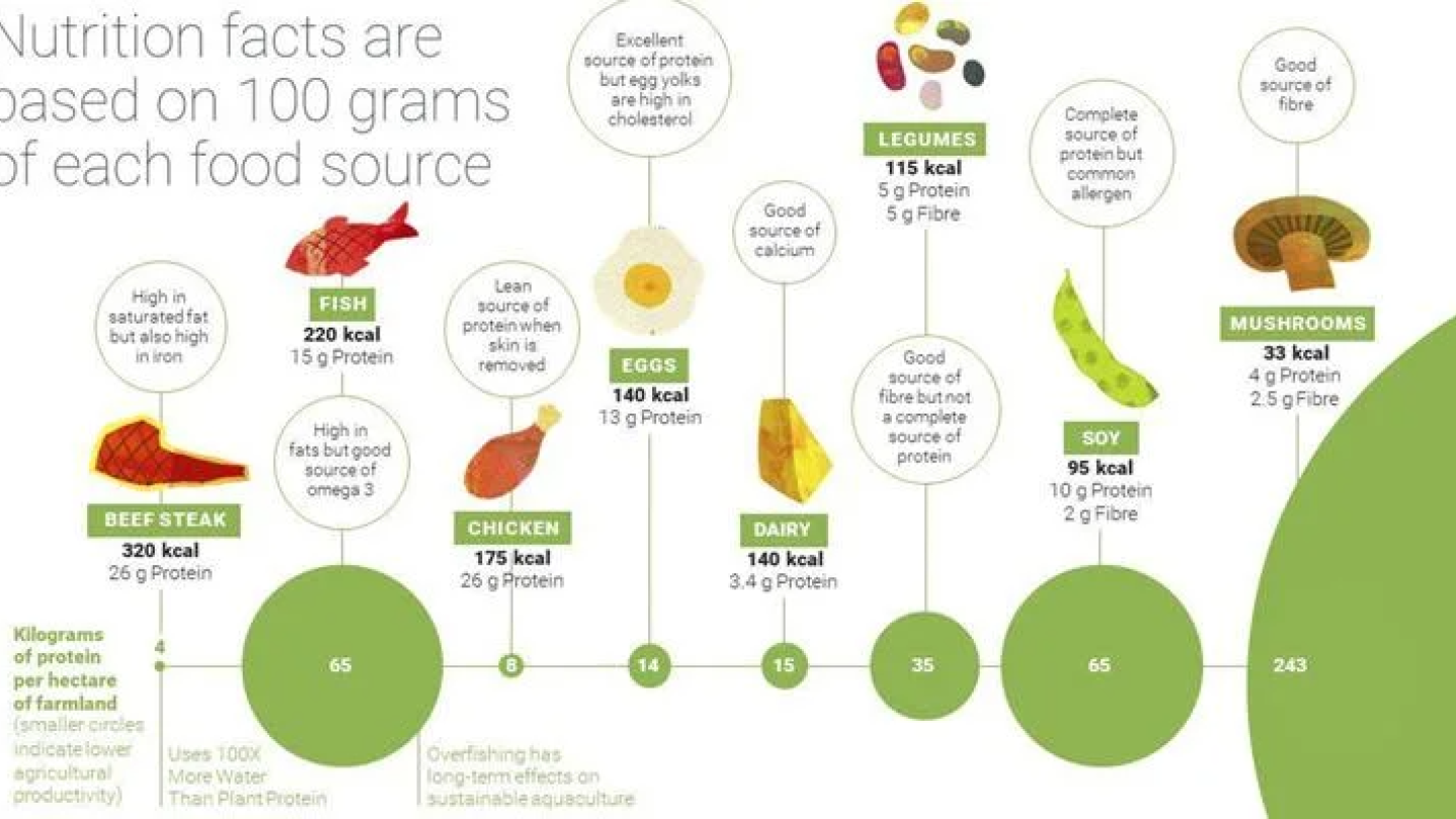 Pick your protein Sources | Nestlé Professional