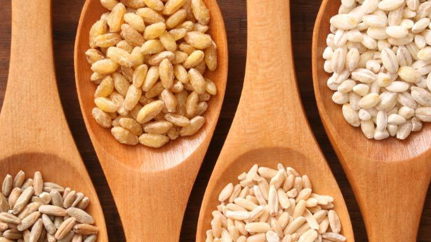 Going With The Grain | Nestlé Professional