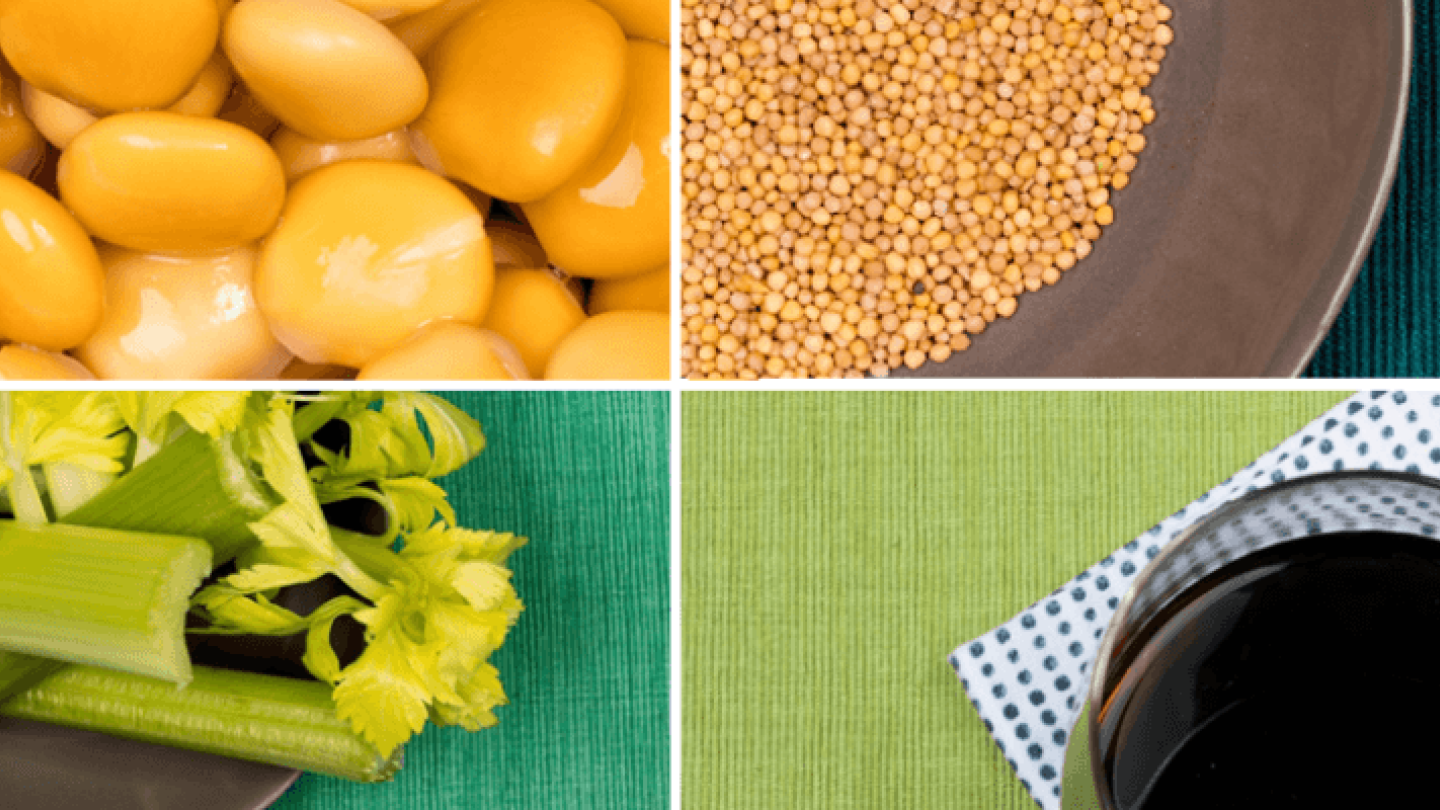 NutriPro Food Allergens - Other Allergens | Nestlé Professional