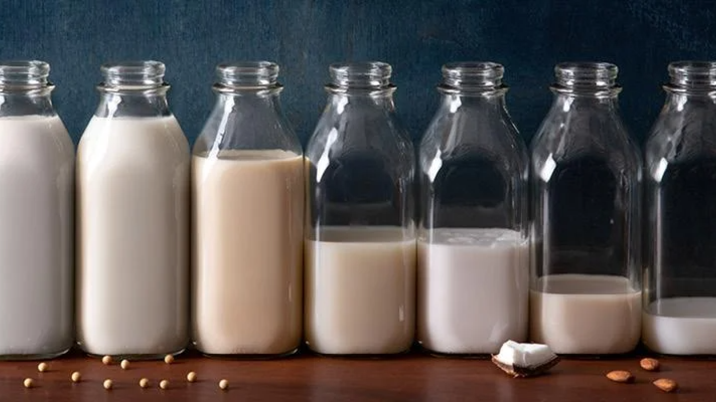 Different Plant-Based Products Offer Something for Everyone