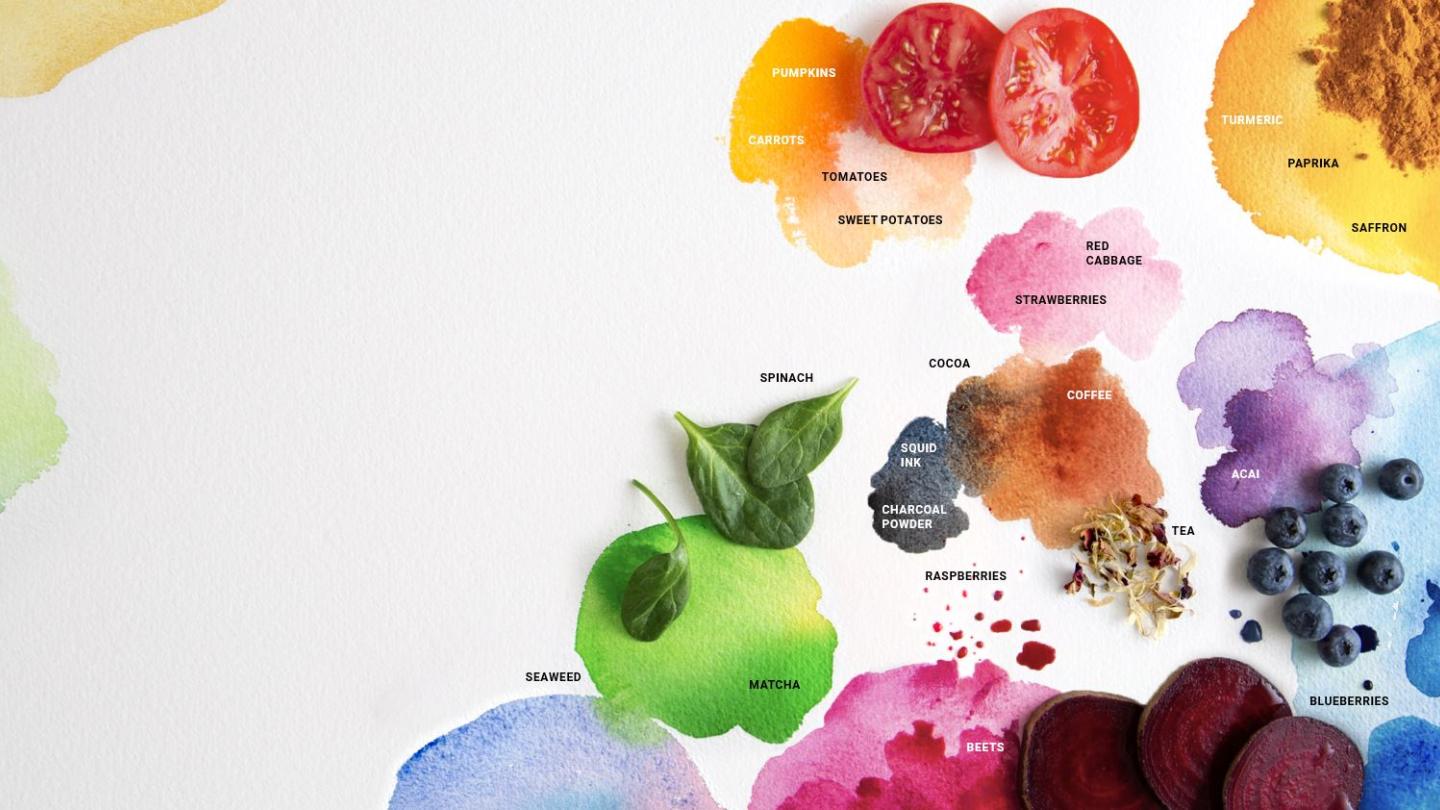 Cooking With Colour | Nestlé Professional